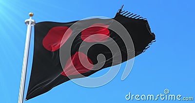 Timurid Empire Flag. Loop stock footage. Video of flagpole - 247470866