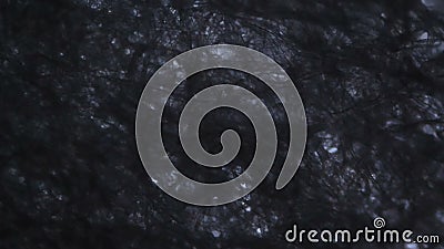 Tissue Paper Fibers Under the Microscope Stock Footage - Video of ...