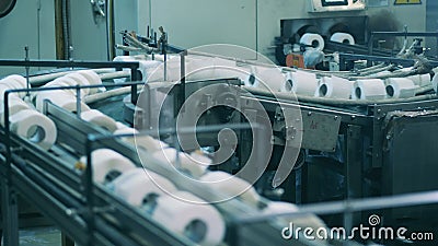 Toilet Paper Manufacturing Process at a Modern Paper Plant Stock ...