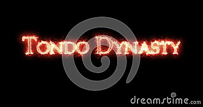 Tondo Dynasty Written with Fire. Loop Stock Footage - Video of ancient ...