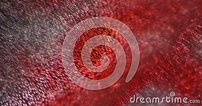 Tooth Tooth Decay in Darkfield Stock Video - Video of digestion ...