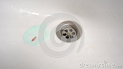 Toothpaste with Blood in the Sink. Blood when Brushing Teeth Stock ...