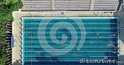 Top Down View of Public Swimming Pool. Professional Swimmer Practicing ...