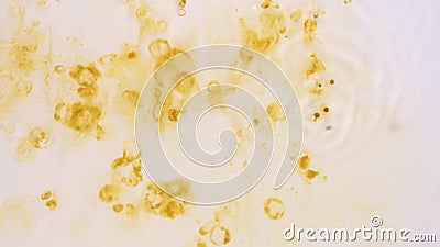 Top View, the Chaotic Falling of Brown Paint Droplets. Abstract Stock ...