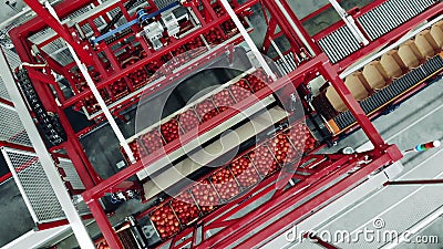 Top View of a Factory Mechanism Relocating Tomato Boxes Stock Footage ...