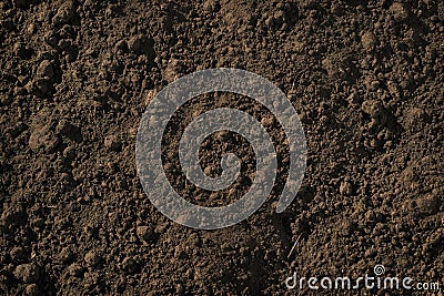 Top View Of Fertile Soil With Textured Ground Surface. Brown, Dark ...