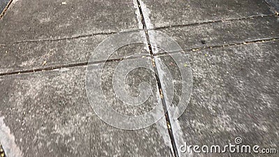 Top view on the footpath stock footage. Video of granite - 199991684