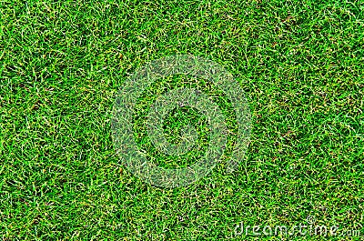 Top View Of Fresh Lawn Grass Royalty Free Stock Photo - Image: 18025605