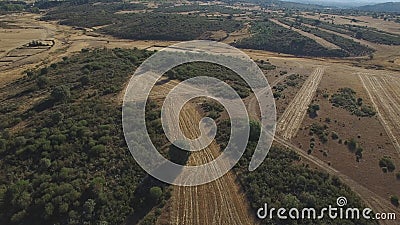 Top View of Giant Field in Arrow Shape Stock Video - Video of symbol ...