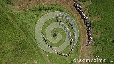 Top View of the Huge Ring of People Dance Around a Tree. Stock Footage ...