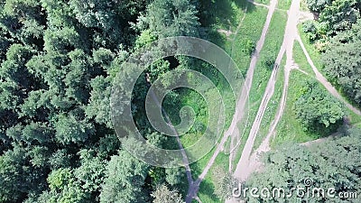 Top View of the Path through the Trees. Clip Stock Video - Video of ...