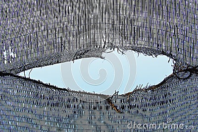 Torn Net Stock Images - Image: 603454
