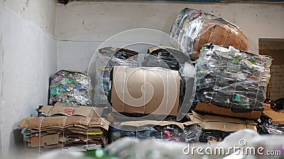 Tracking Shot of Sorted Cardboard Waste Ready for Reprocessing. Garbage ...