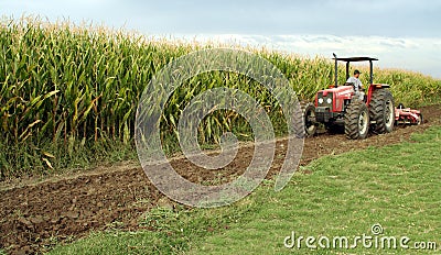 Tractor With Corn (Maize) Royalty Free Stock Image - Image: 3219066