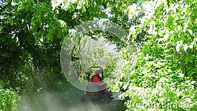 Tractor Lawn Mower on Forest Path Stock Footage - Video of plants ...