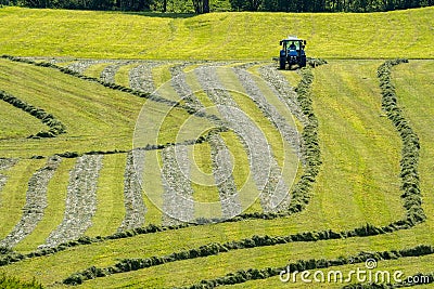 The Tractor Moving The Grass On The Field Royalty-Free Stock ...