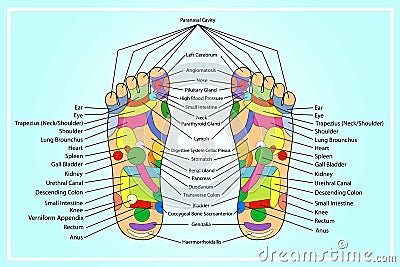 Acupuncture Points on the Feet. Reflex Zones on the Feet. Chinese ...