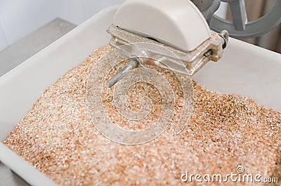 Traditional Homebrewing Malt Grinder, Grinding Pilsen Malt Stock Photo ...