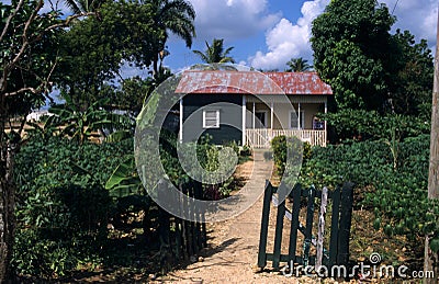 Traditional House Dominican Republic Stock Photo - Image: 10477010