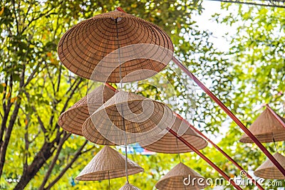Traditional Vietnamese Conical Leaf Hats In Nature Background Stock ...