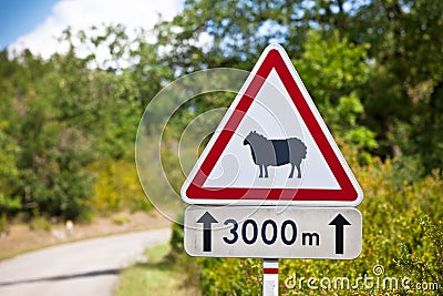 Traffic Sign Warning Of Sheep On The Road Royalty-Free Stock Photo ...