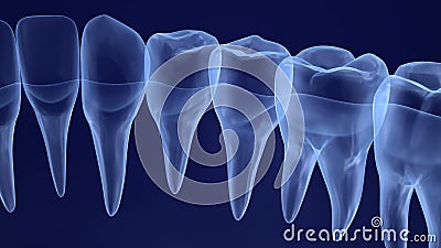 Transparent Teeth, Xray View. Stock Video - Video of dentin, vessel ...