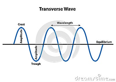 Transverse Wave Properties Of Wavelength Cartoon Vector | CartoonDealer ...