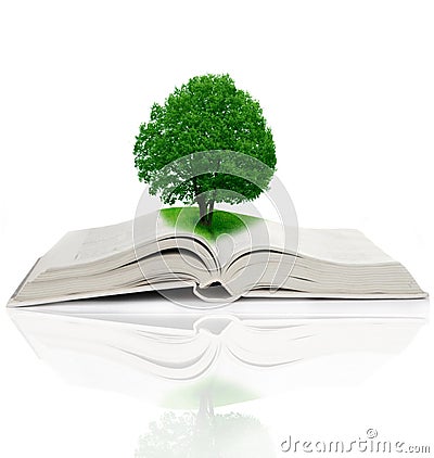 Tree Growing From A Book Stock Images - Image: 21939824