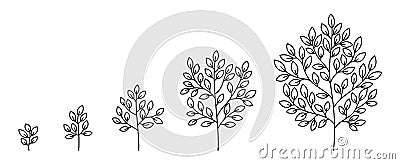 Tree Growth Stages. Plant Development. Vector Illustration. Editable ...