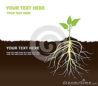 Tree With Roots Plant Roots Soil Cartoon Vector | CartoonDealer.com ...