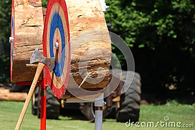 Tree Stump Target With Axe Stock Photo - Image: 21516030