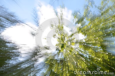 Tree Zoom Background Stock Image | CartoonDealer.com #40177759