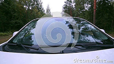 Trees Reflected in Car Window. Windshield Reflection. Car Driving on a ...