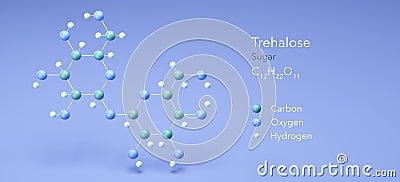Trehalose, Molecular Structures, Sugar, 3d Model, Structural Chemical ...