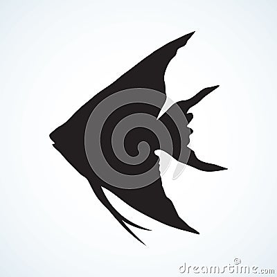 Triangular Fish. Vector Drawing | CartoonDealer.com #97050634
