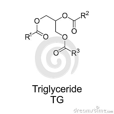 Triglyceride, Also Triacylglycerol Or Triacylglyceride Chemical ...