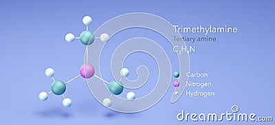 Trimethylamine Molecule, Molecular Structures, Tertiary Amine, 3d Model ...