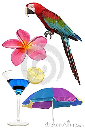 Tropical Elements Stock Images - Image: 296304