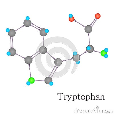 Tryptophan 3D Molecule Chemical Science Vector Illustration ...