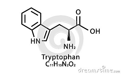 Tryptophan Molecular Structure. Tryptophan Skeletal Chemical Formula ...