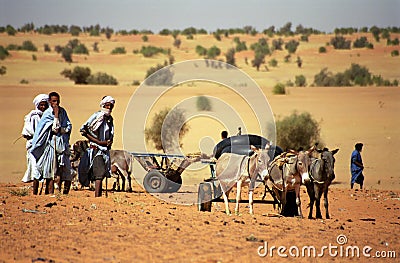 Tuareg People, Mauritania Editorial Photo - Image: 15687641