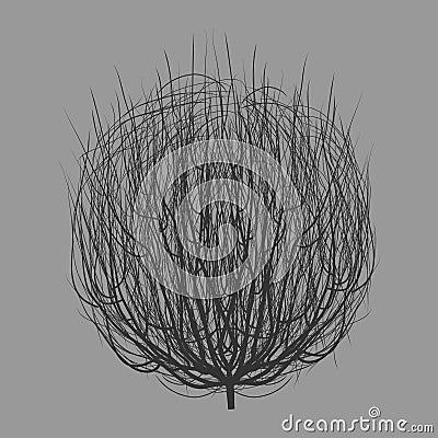 Tumbleweed Drawing Vector Stock Vector - Image: 59494162