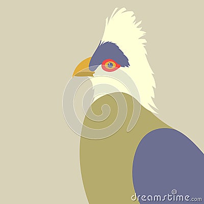 Turaco Bird Vector Illustration Flat Style Profile | CartoonDealer.com ...