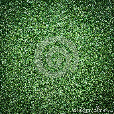 Turf Grass Texture Stock Photography - Image: 34869432