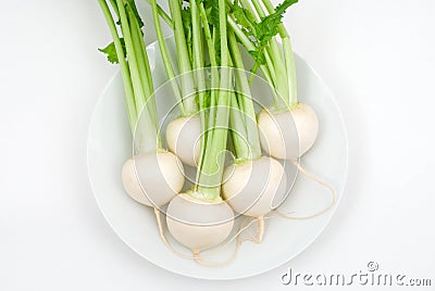 Watermelon Radish stock image. Image of watermelon, root - 79068389