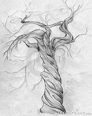 Twisted Tree Stock Illustration - Image: 42388488