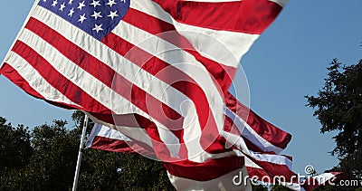 Two United States Flags Blowing in the Wind Slow Motion Stock Footage ...