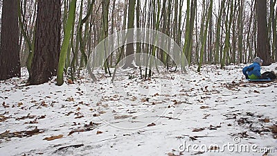 Two Boys Sledding in the Woods Stock Footage - Video of childhood ...
