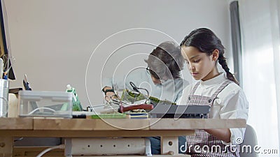 Two Children Doing Educational Project at Home at Daytime Stock Video ...