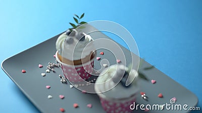 Two Cupcakes on a Rectangular Plate Stock Video - Video of cream ...